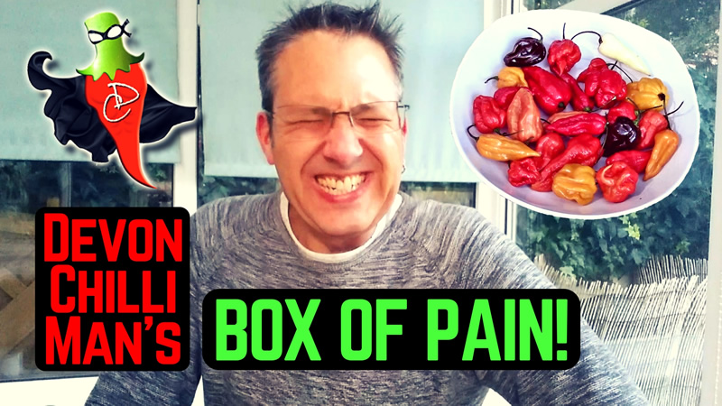 BOX OF PAIN from The Devon Chilli Man - Bang! Bang! Oil